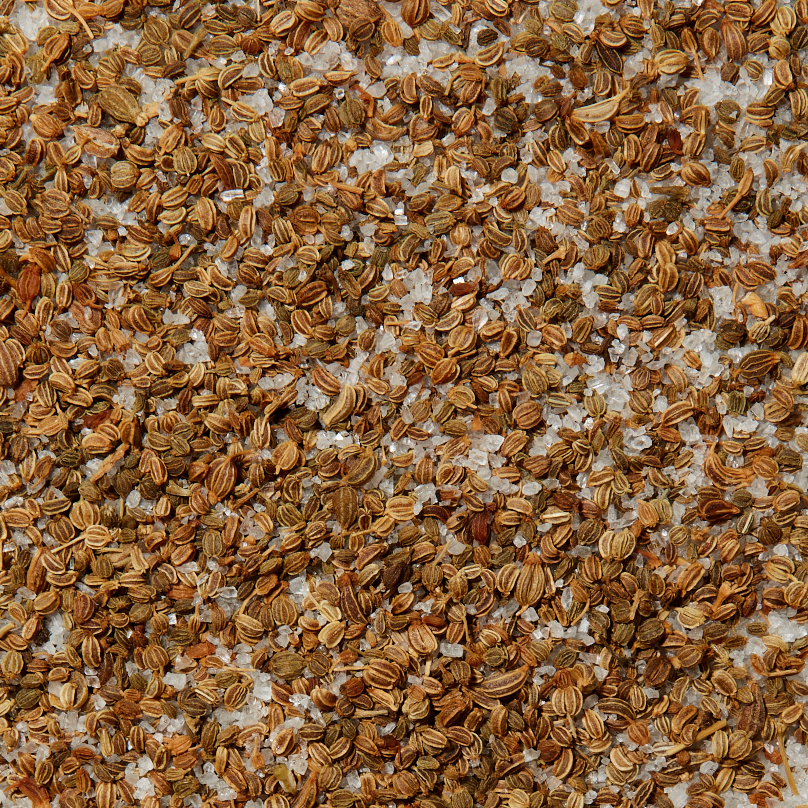 Celery Salt Refill – Evermill